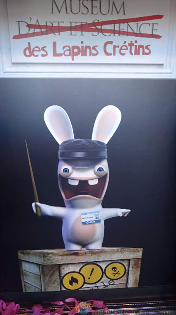 Raving Rabbids Invade French Theme Park
