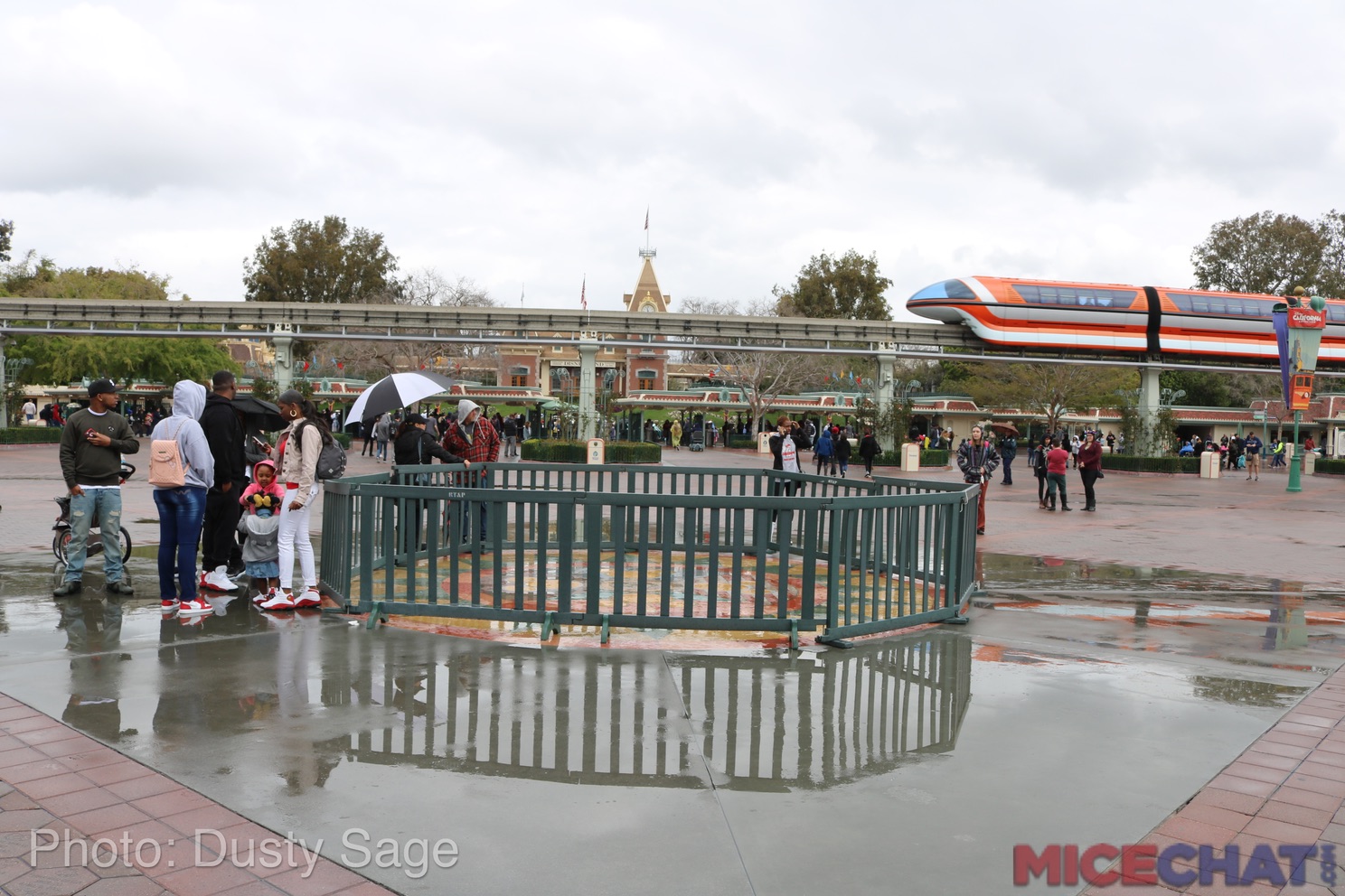 IMG_9185 - MiceChat