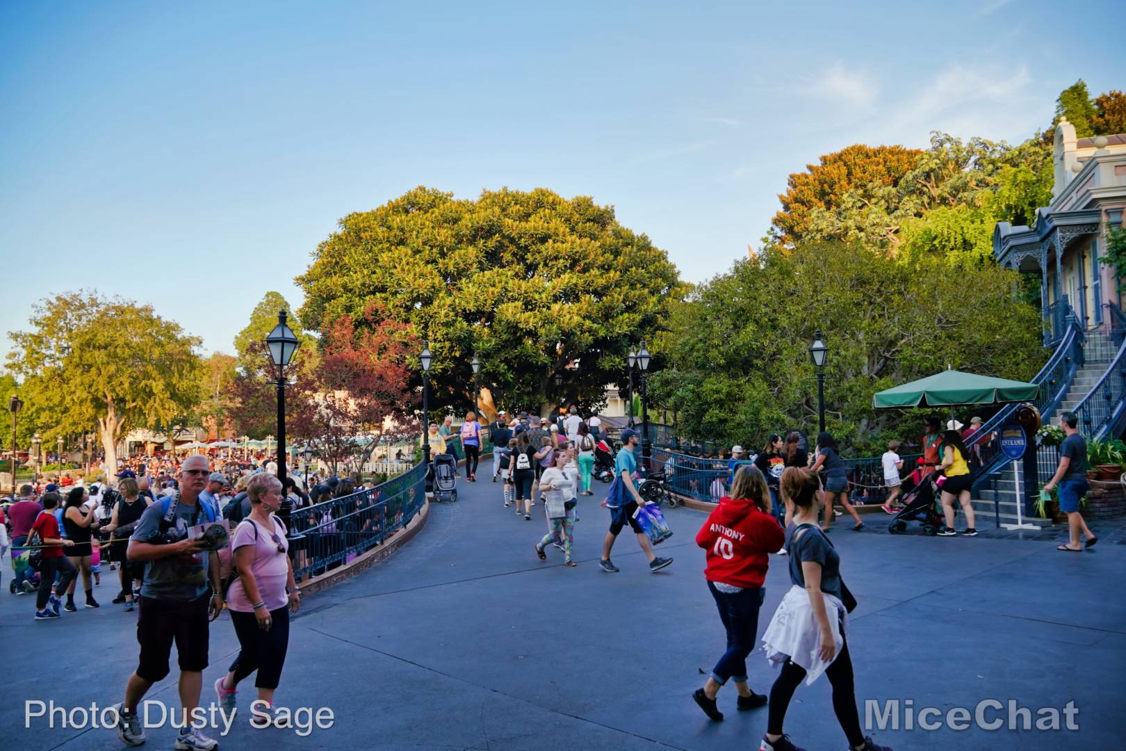 Disneyland Update - Packed! Huge Crowds Return to Disneyland