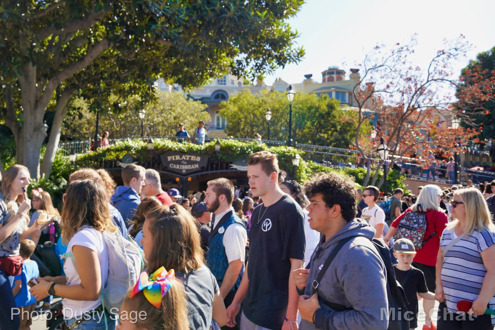 Disneyland-News-DSC03148 - MiceChat