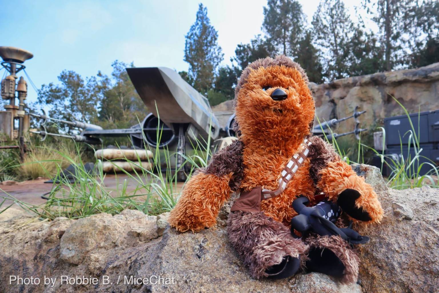 Porgs, Ewoks, and Build-A-Bear . . . Oh My!