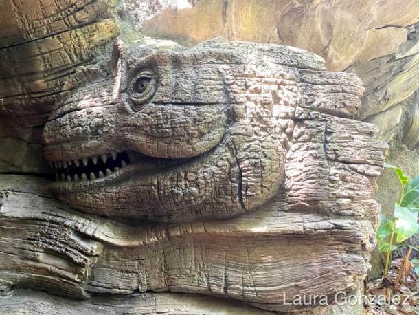The Secrets of the Tree of Life at Disney's Animal Kingdom