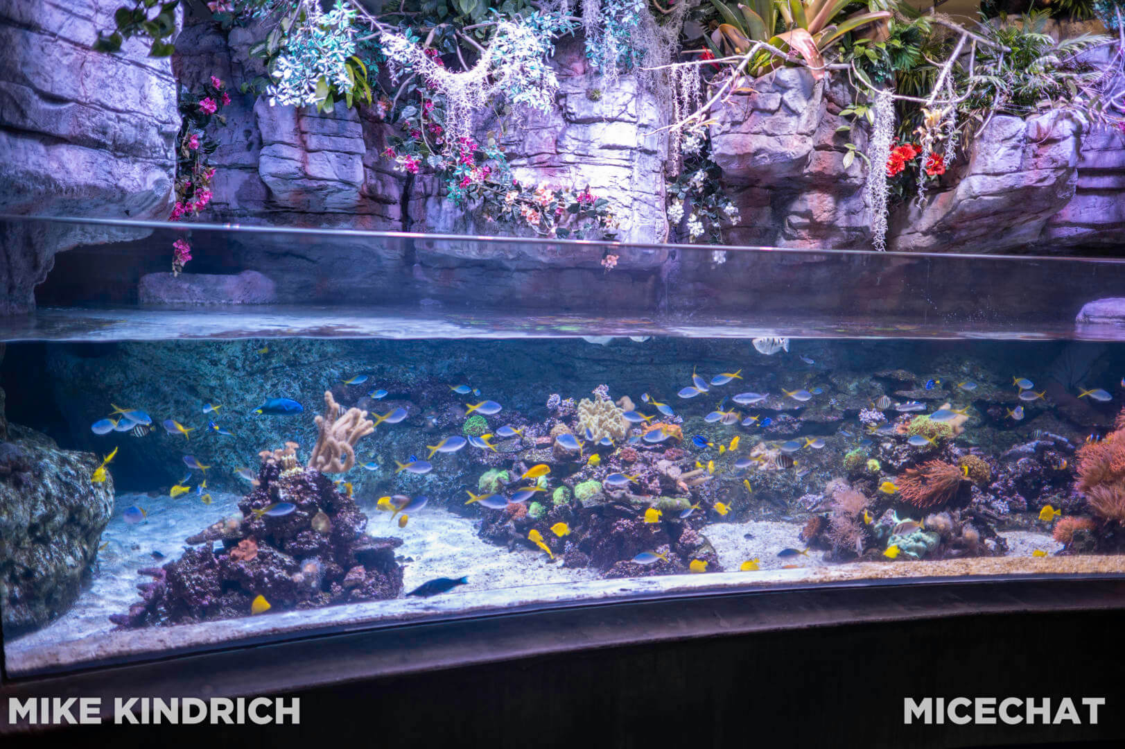 Way Long Beach Aquarium