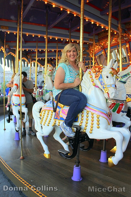 Disney Donna Collectibles-micechat - MiceChat