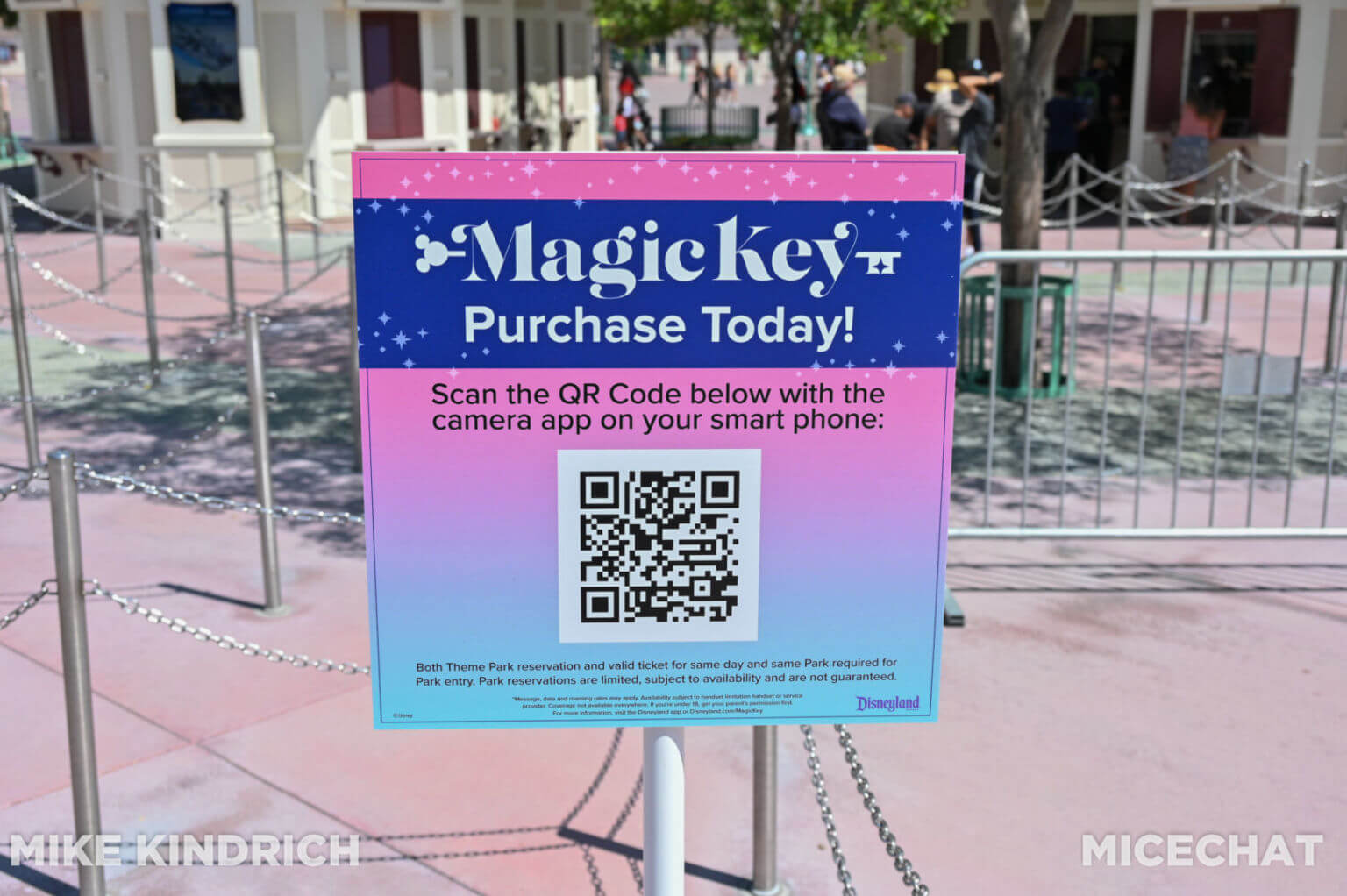 Disneyland Update: Magic Key Crowds & Bats in the Belfry