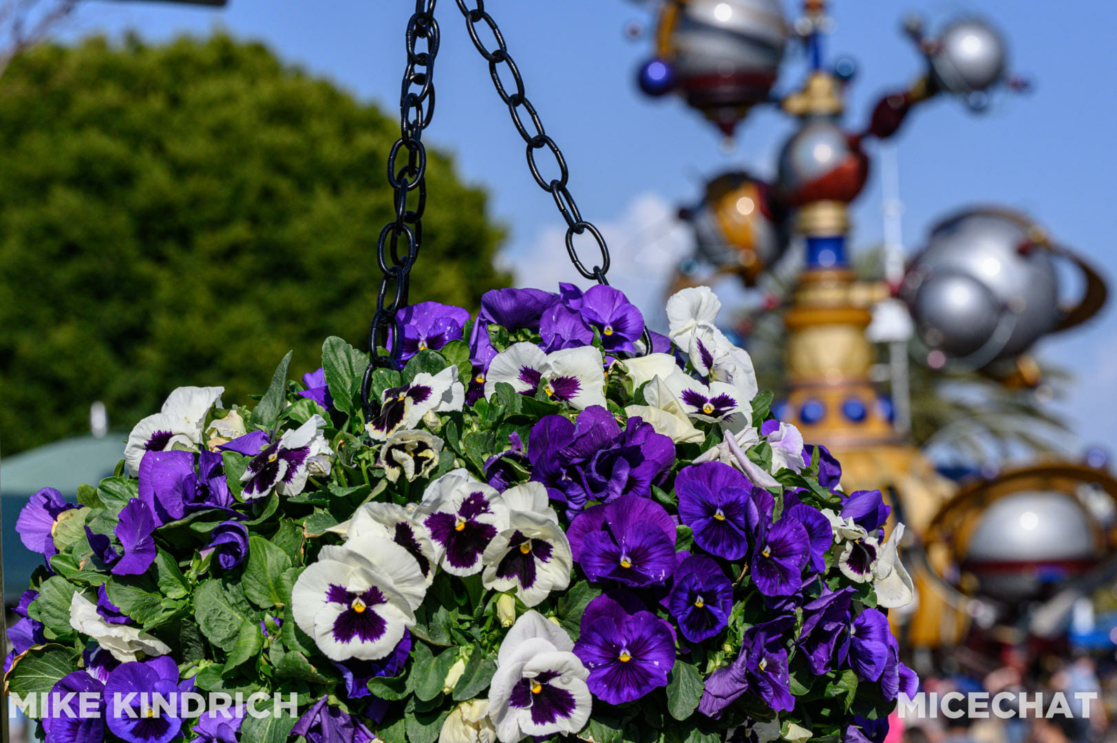Disneyland_Hub_Flower Pots_Astro Orbiter (1 of 1) copy - MiceChat