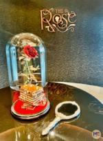 Explore the Disney Wish - Deck by Deck | Features | MiceChat