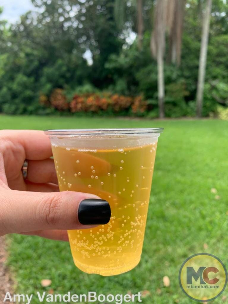 Busch Gardens Tampa Updates: BierFest 2022 and Howl-O-Scream