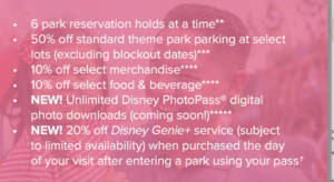 Everything You Need To Know About Disneyland Magic Keys