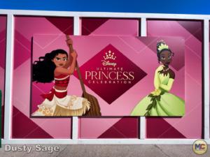 The Royal Rundown: What to Expect from Disneyland's World Princess Week ...