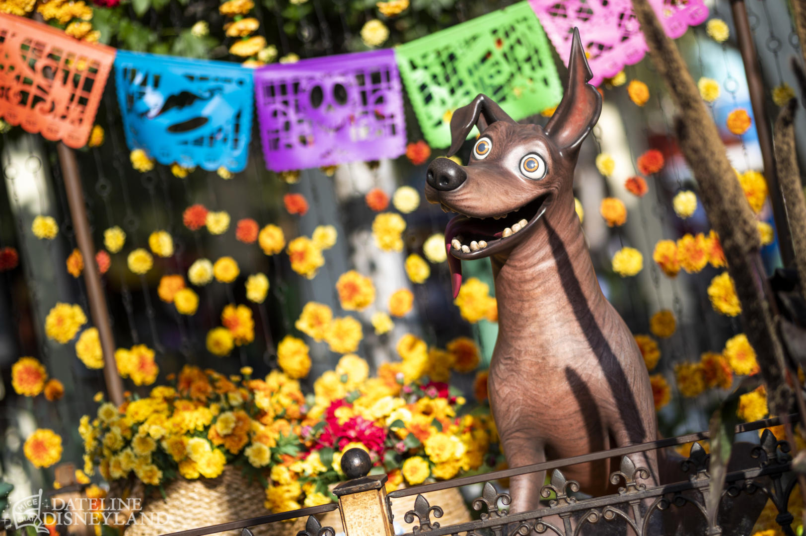 Disney California Adventure Coco Plaza de la Familia Dante dog DSC_1437 ...