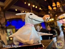 Your Guide to Disneyland Shoulder Pal Plushes!