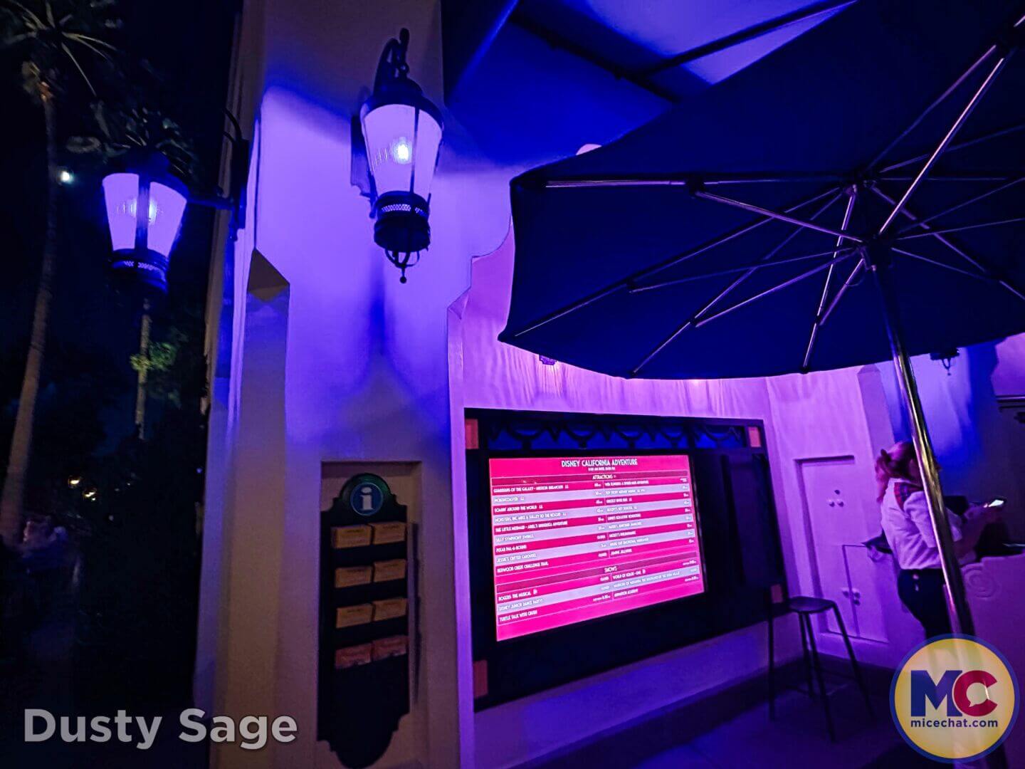 Disneyland News crowds wait time board halloween lights MiceChat - MiceChat