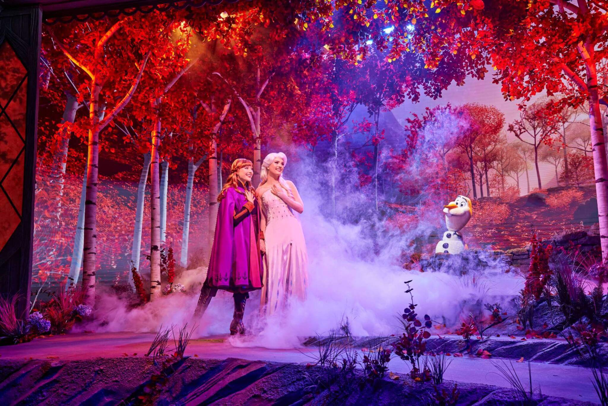Hoo Hoo, World of Frozen Debuts at Hong Kong Disneyland!
