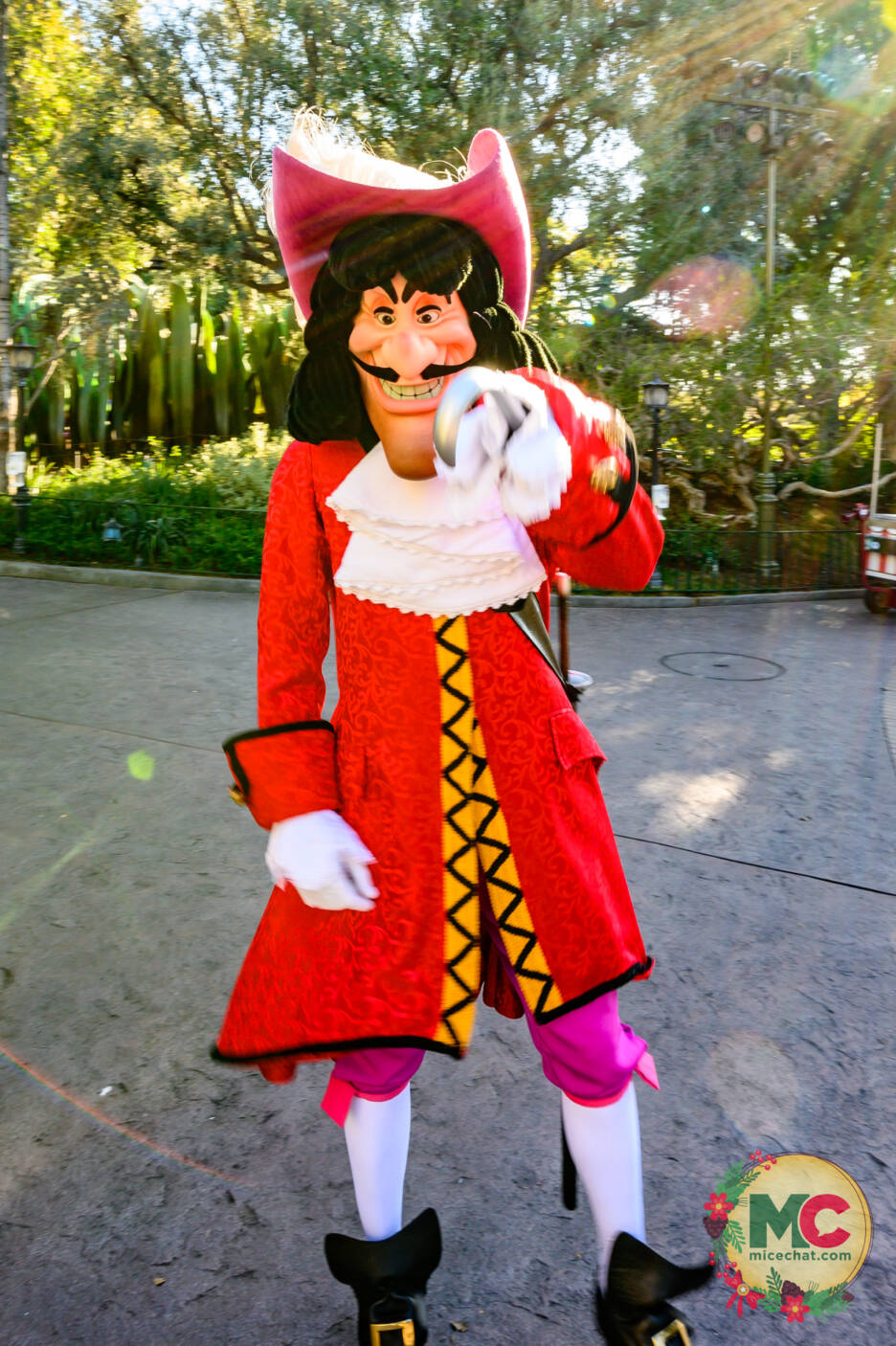 Mike Kindrich_Disneyland_Fantasyland_Hook (1 of 1)-2 - MiceChat