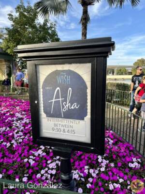 Magic, Mystery, and More: Our First Walt Disney World Update of 2024