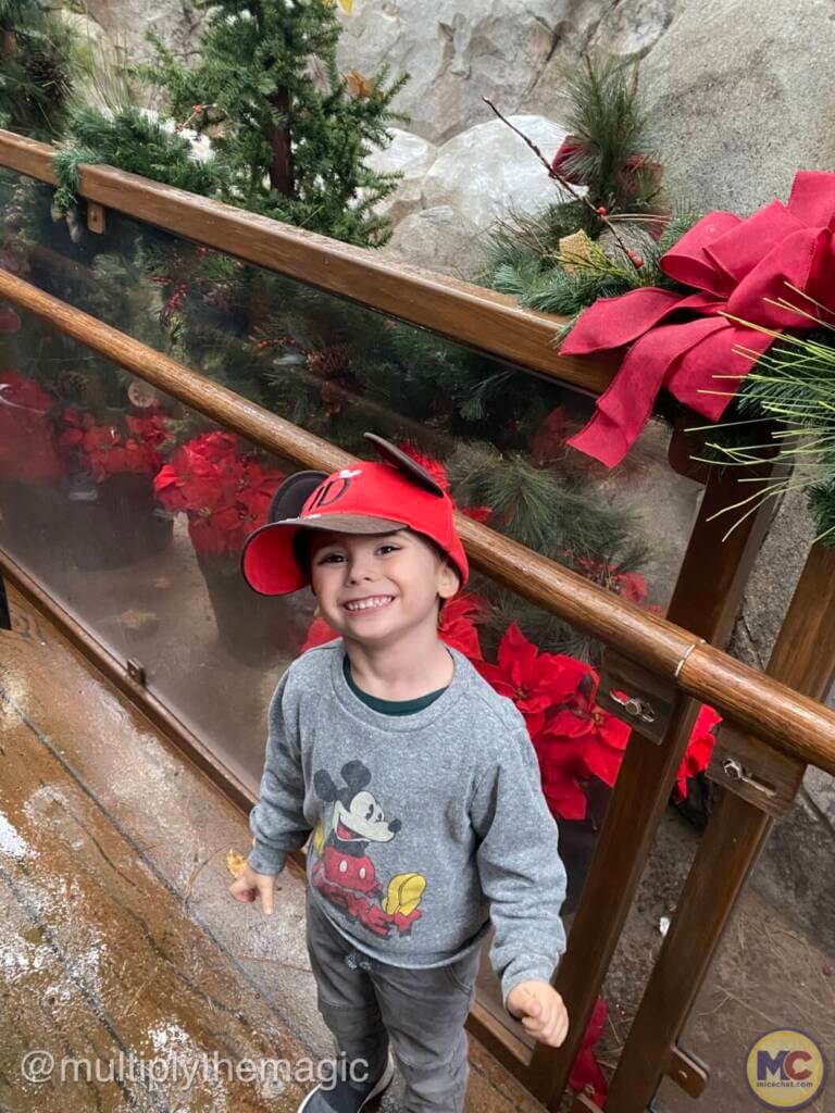 8 Festive Must-Dos: A Family Guide to Disneyland's Holiday Magic