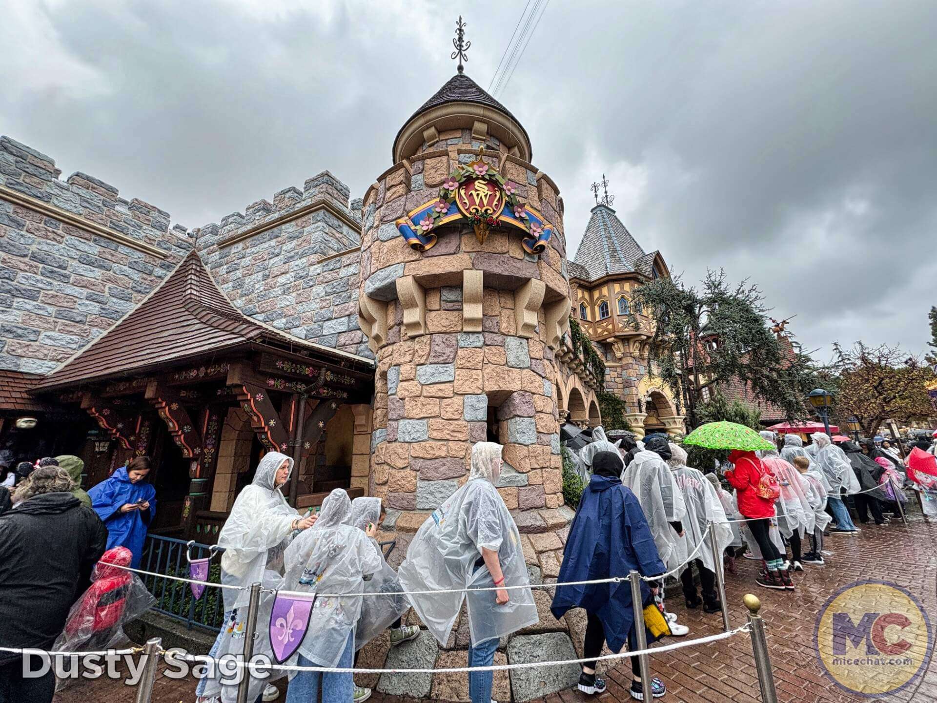 Disneyland-Rain Peter Pan Line- MiceChat - MiceChat