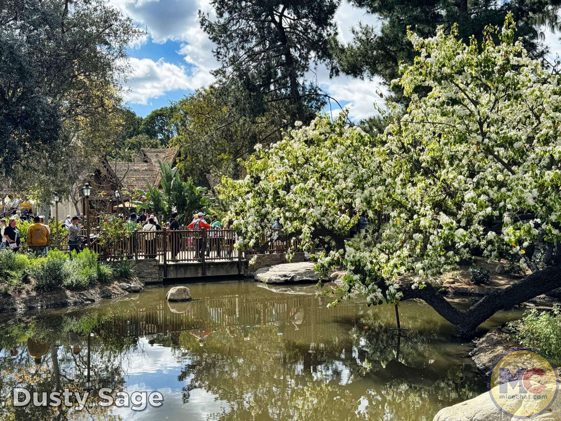 Disneyland-Spring Beauty Bridge to Frontierland- MiceChat - MiceChat