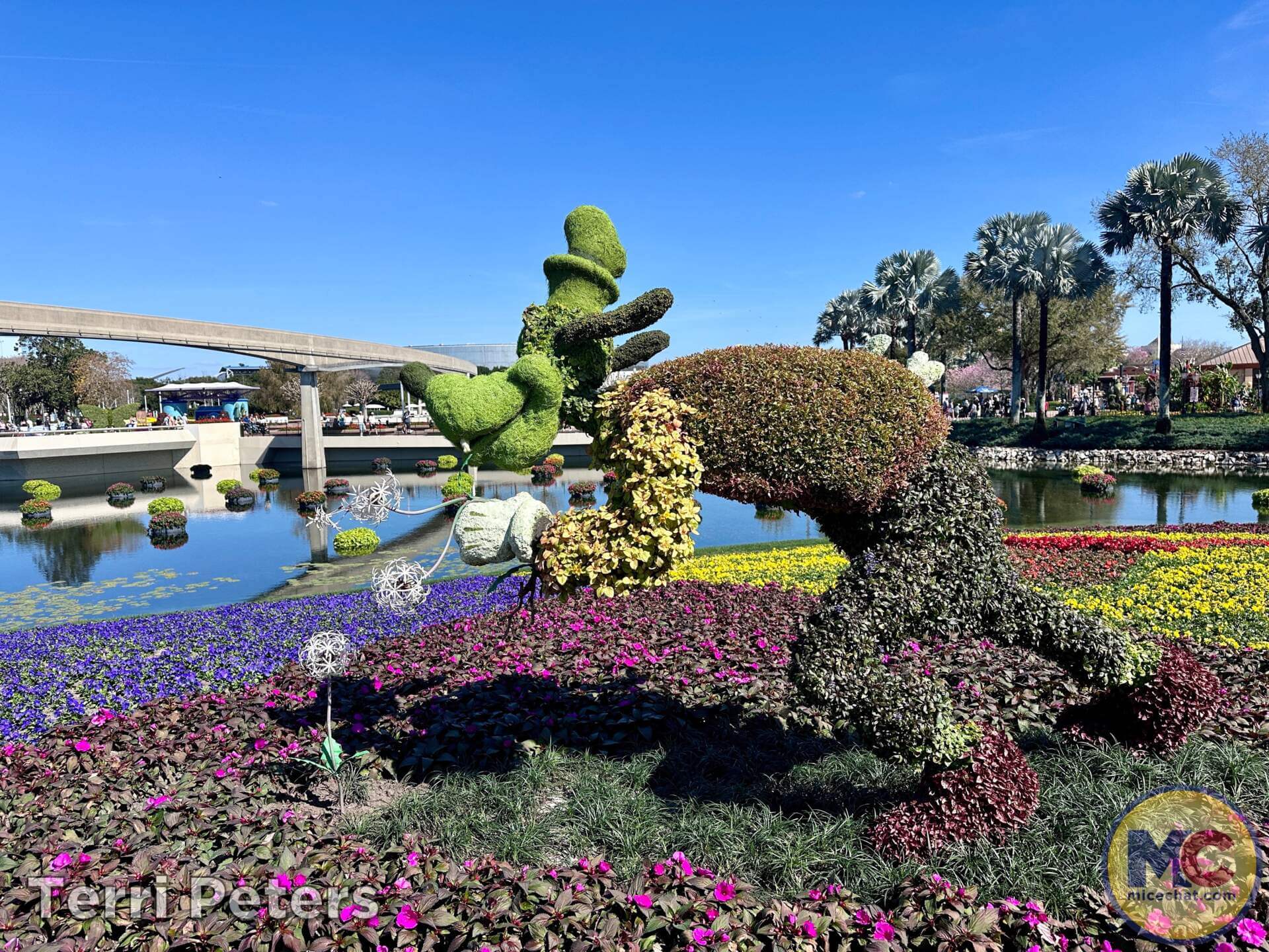 Epcot Flower and Garden Topiaries - Goofy - MiceChat