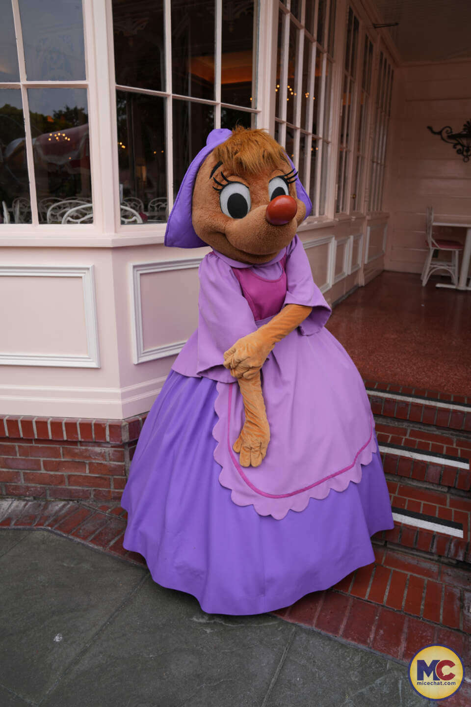 DSC00769 - MiceChat