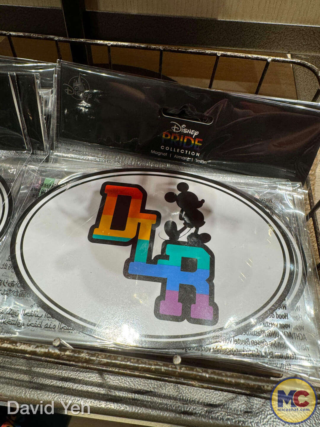 Disneyland-Disney Pride Collection 2024-magnet - MiceChat
