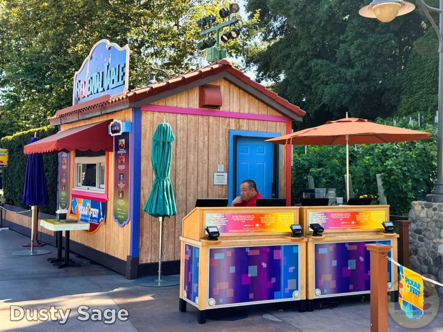 DISNEYLAND UPDATE: Crowd Collapse, Oogie Observations & A Splashtacular ...