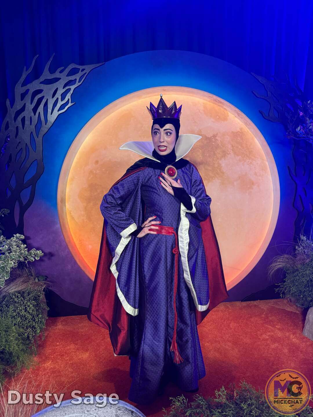 Evil Queen Halloween Evil Queen Halloween Costume Deep V Neck Black