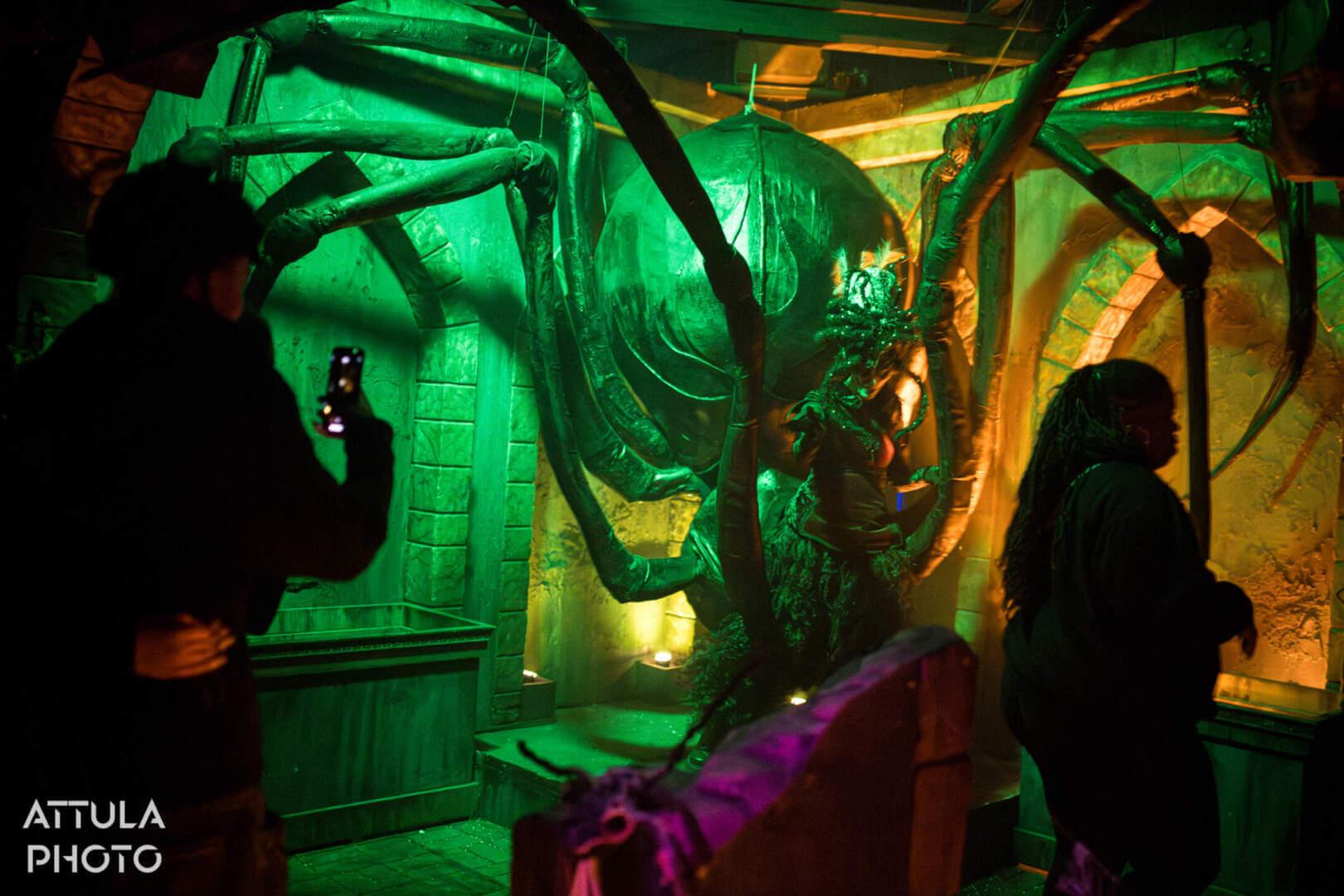 Explore the Spider’s Lair: The Dark Secrets of Knott’s Widows!