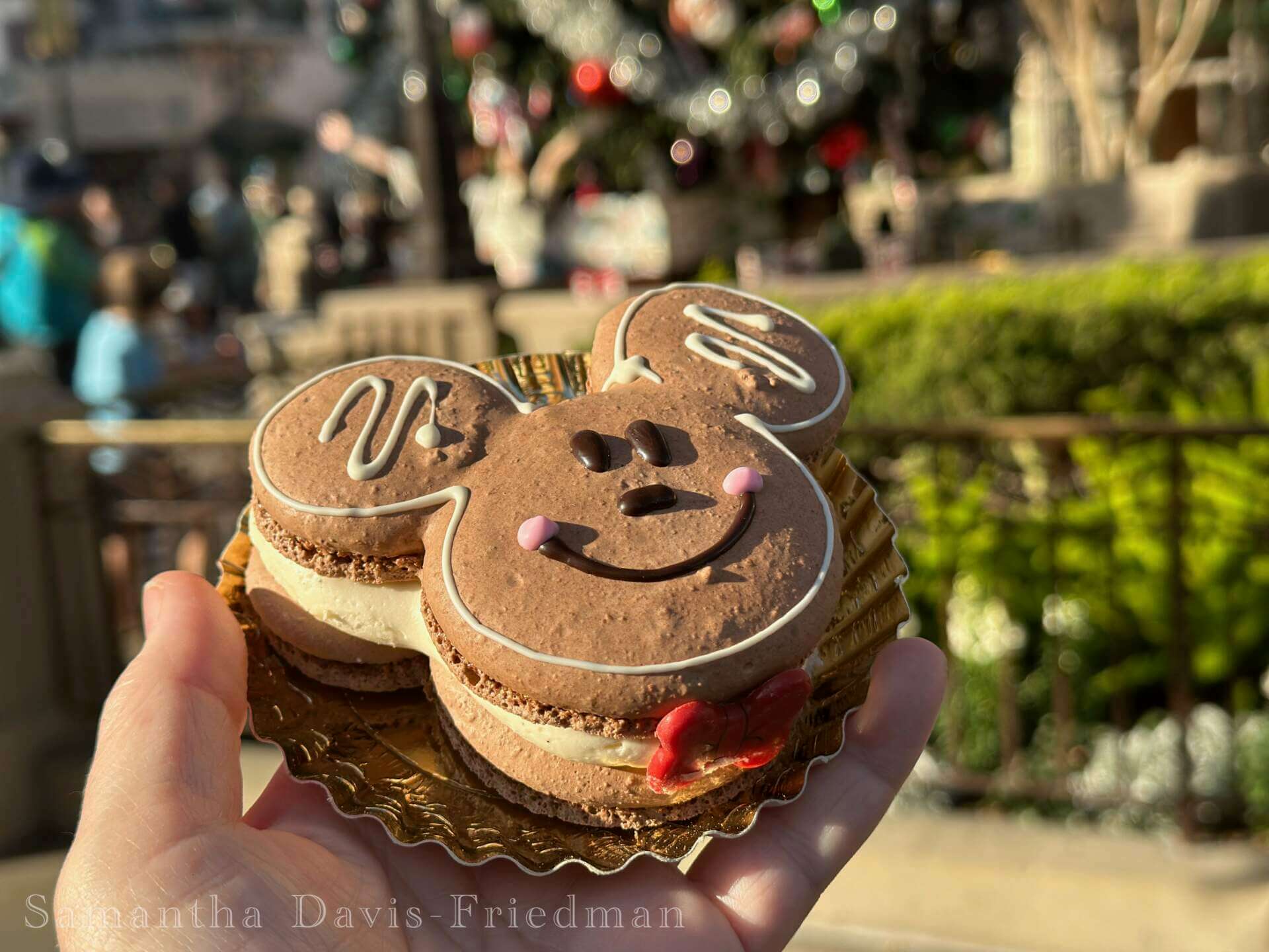 Disney Festival of Holidays - Macaron - MiceChat