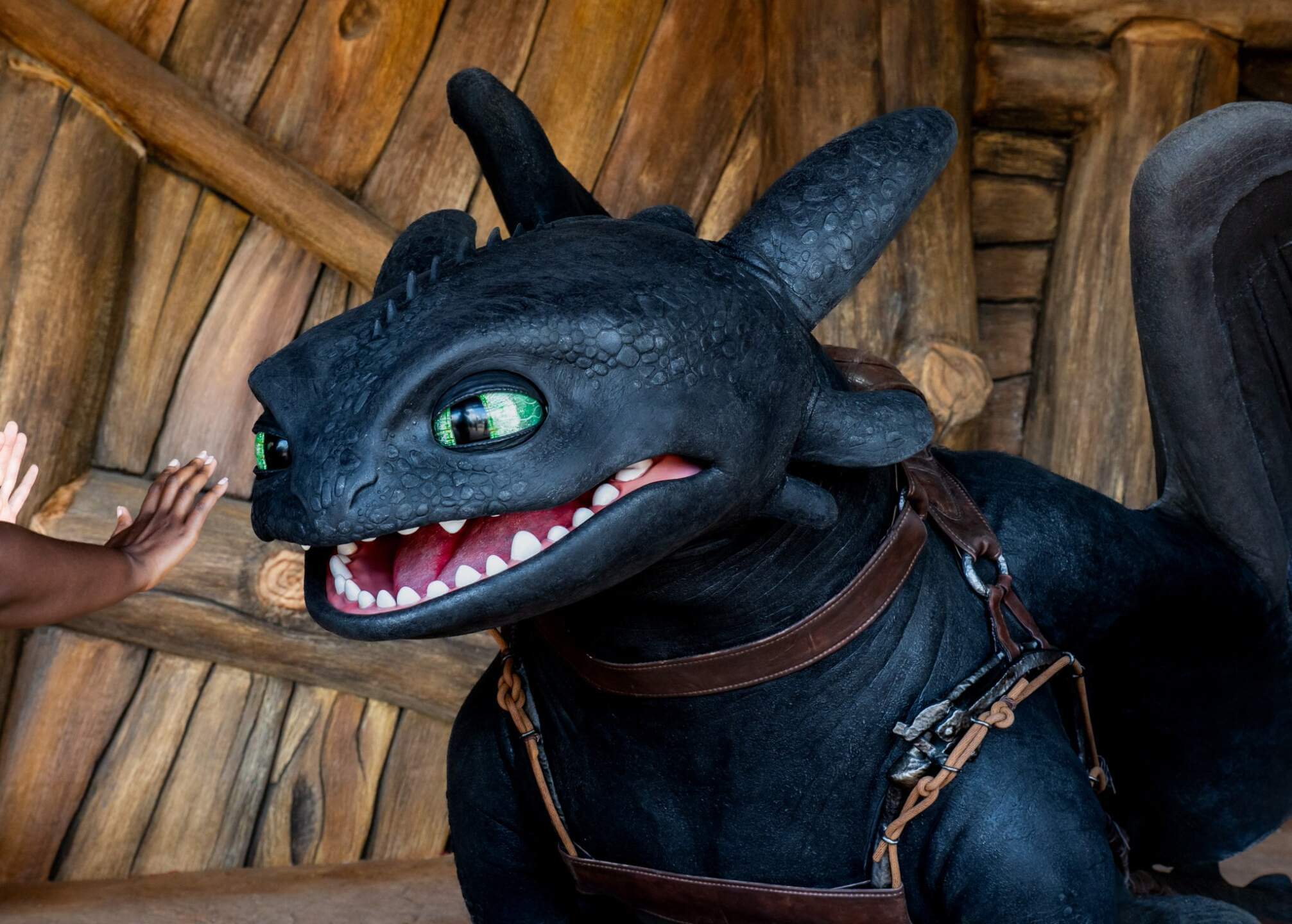 Epic Universe Toothless - MiceChat