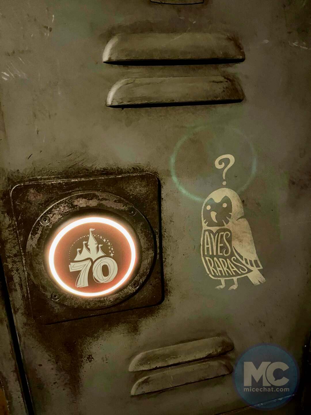 Magic Key Touchpoints jungle cruise owl closeup - MiceChat